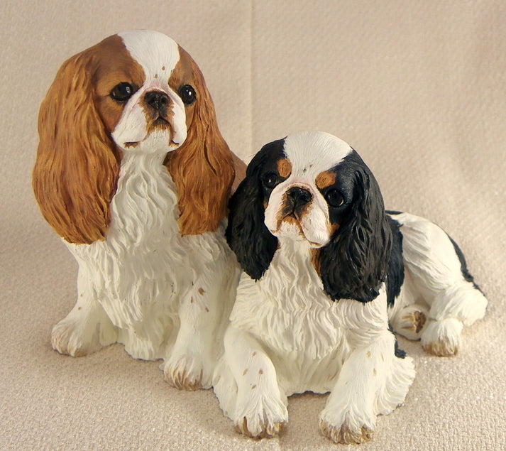 Pair of English Toy Spaniels ( King Charles Spaniel ) – Cavacast Pet ...